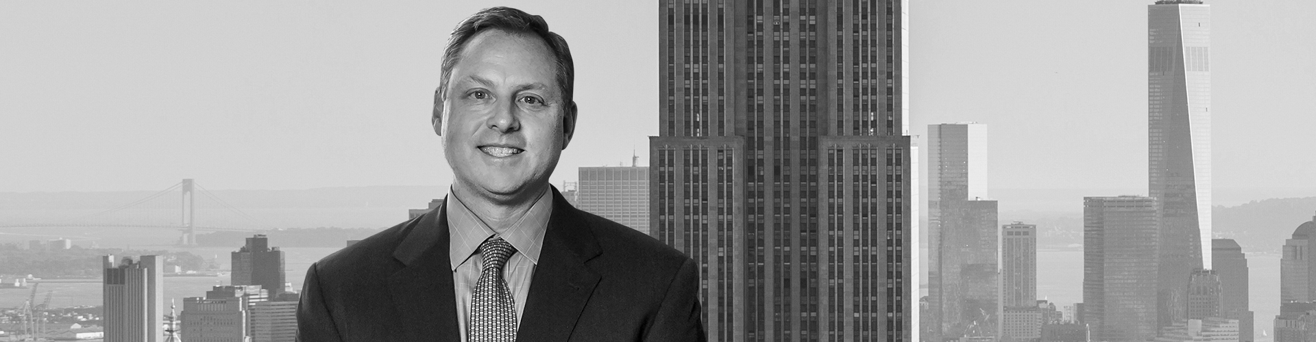 David-Levine-bio - Platte Klarsfeld & Levine, LLP